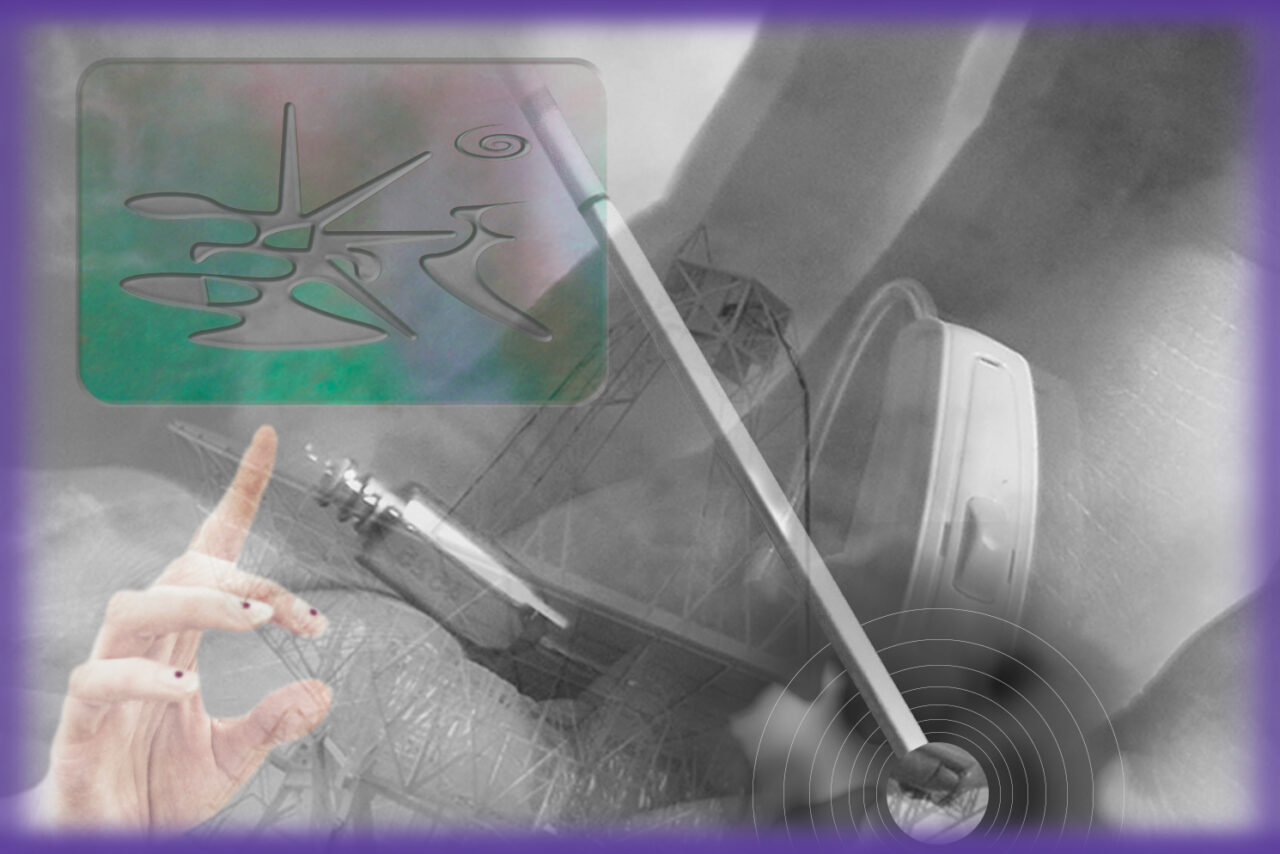 Programs Archive » Chunky Move